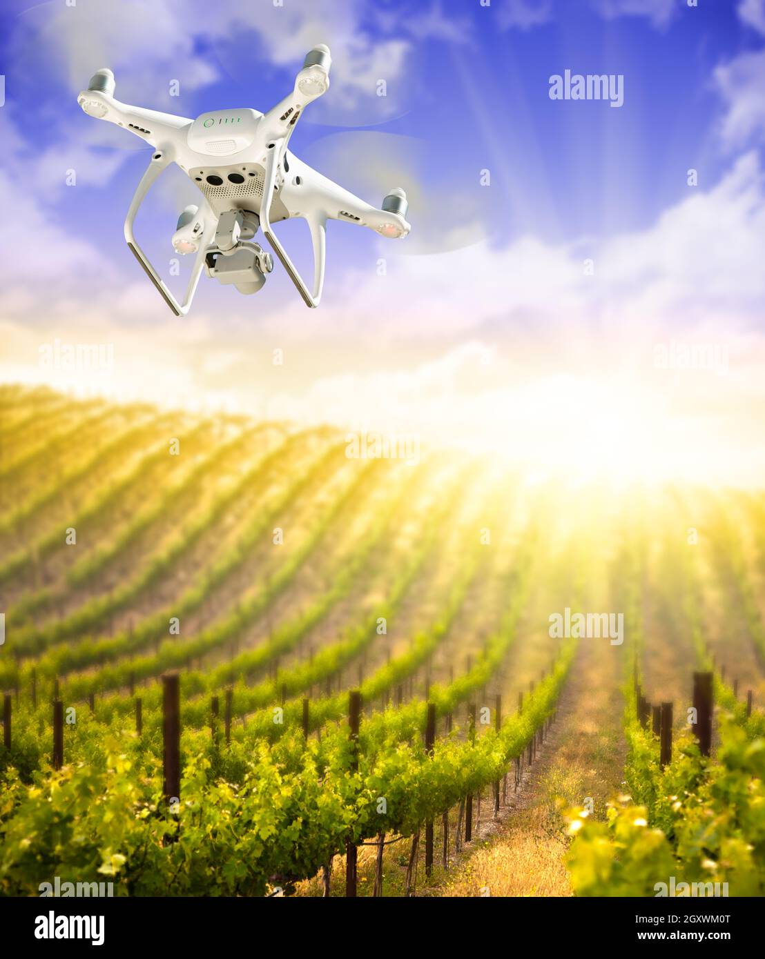 Unmanned Aircraft System (UAV) Quadcopter Drone In The Air Over Grape Vineyard Farm Stock Photo ...