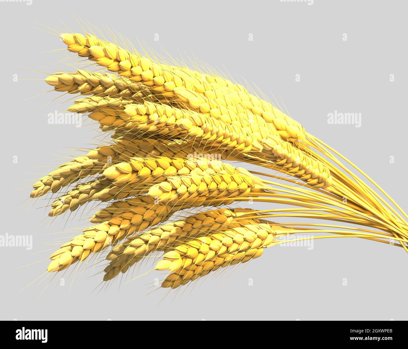 goldish rye bundle, farm yield isolated. concept nature 3D rendering ...