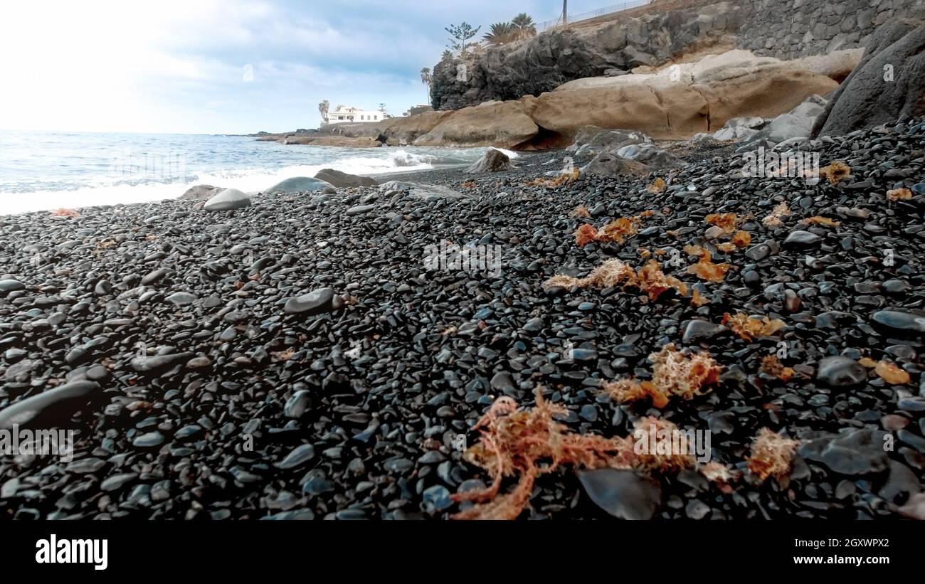 Rocky Seashore Close Up Wet