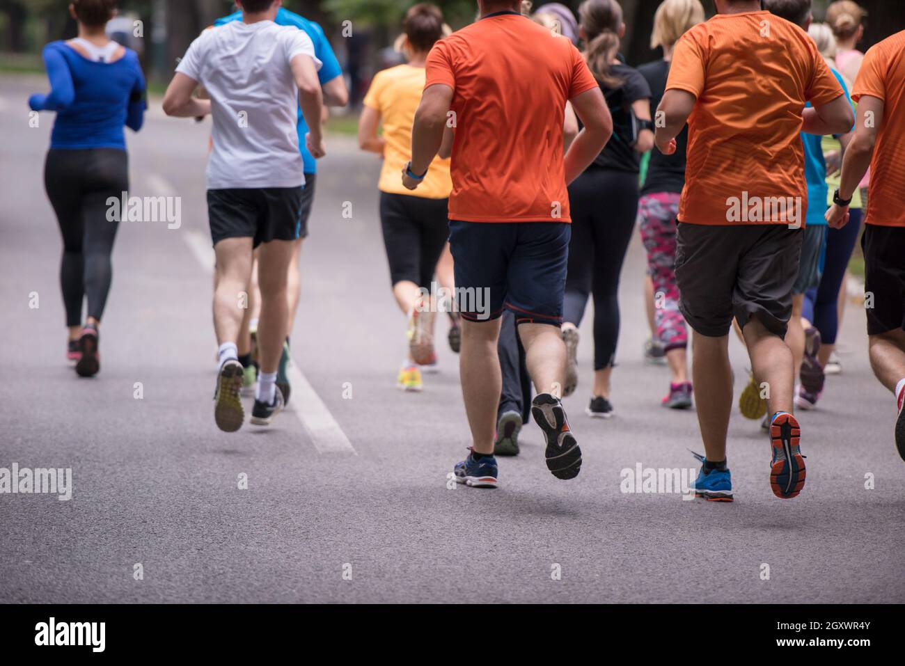 group of healthy people jogging in city park, runners team on morning ...