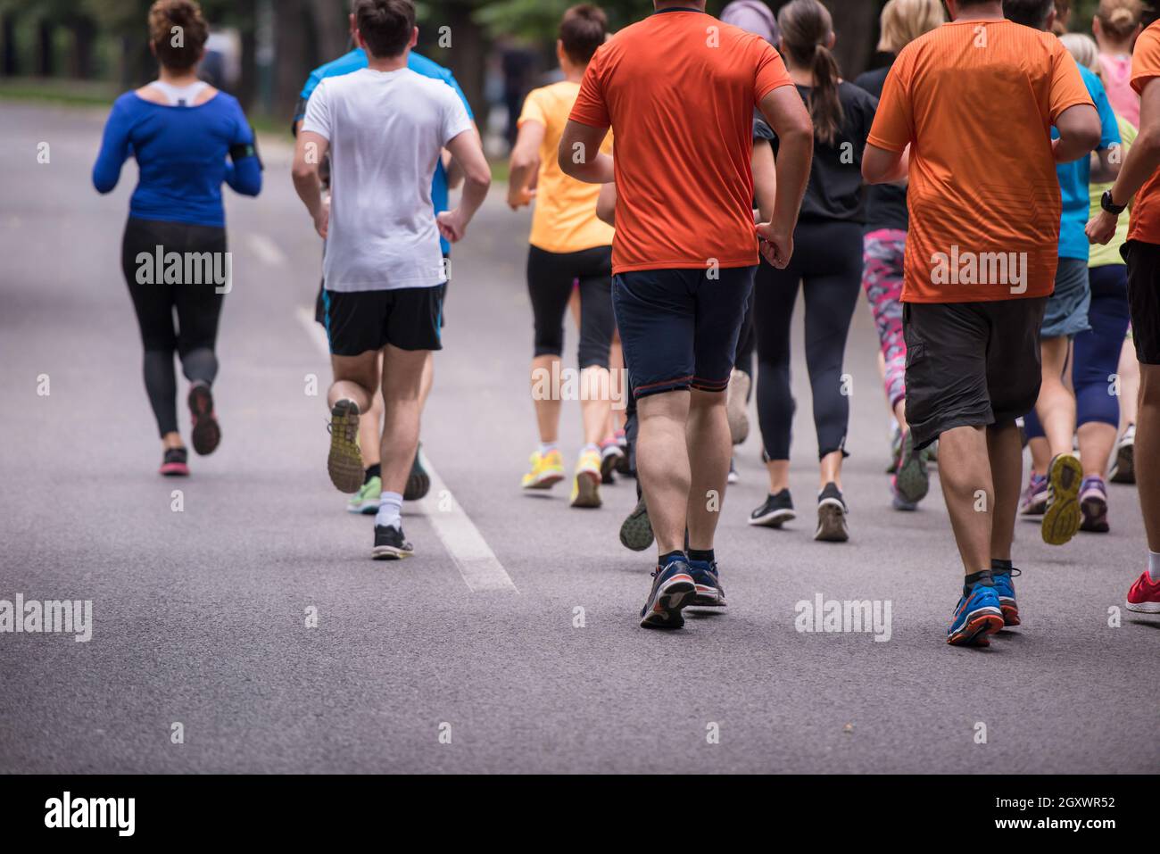 group of healthy people jogging in city park, runners team on morning ...