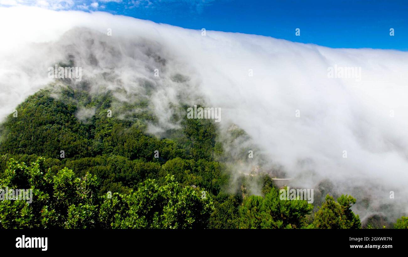 Landscape of clouds and fog covering jungle forest on the mountain side ...