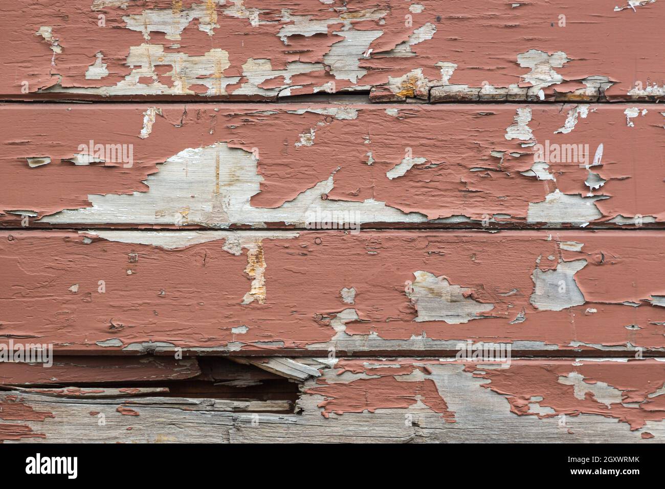 Weathered Wood Panel Wall With Peeling Paint Textured Background Stock ...
