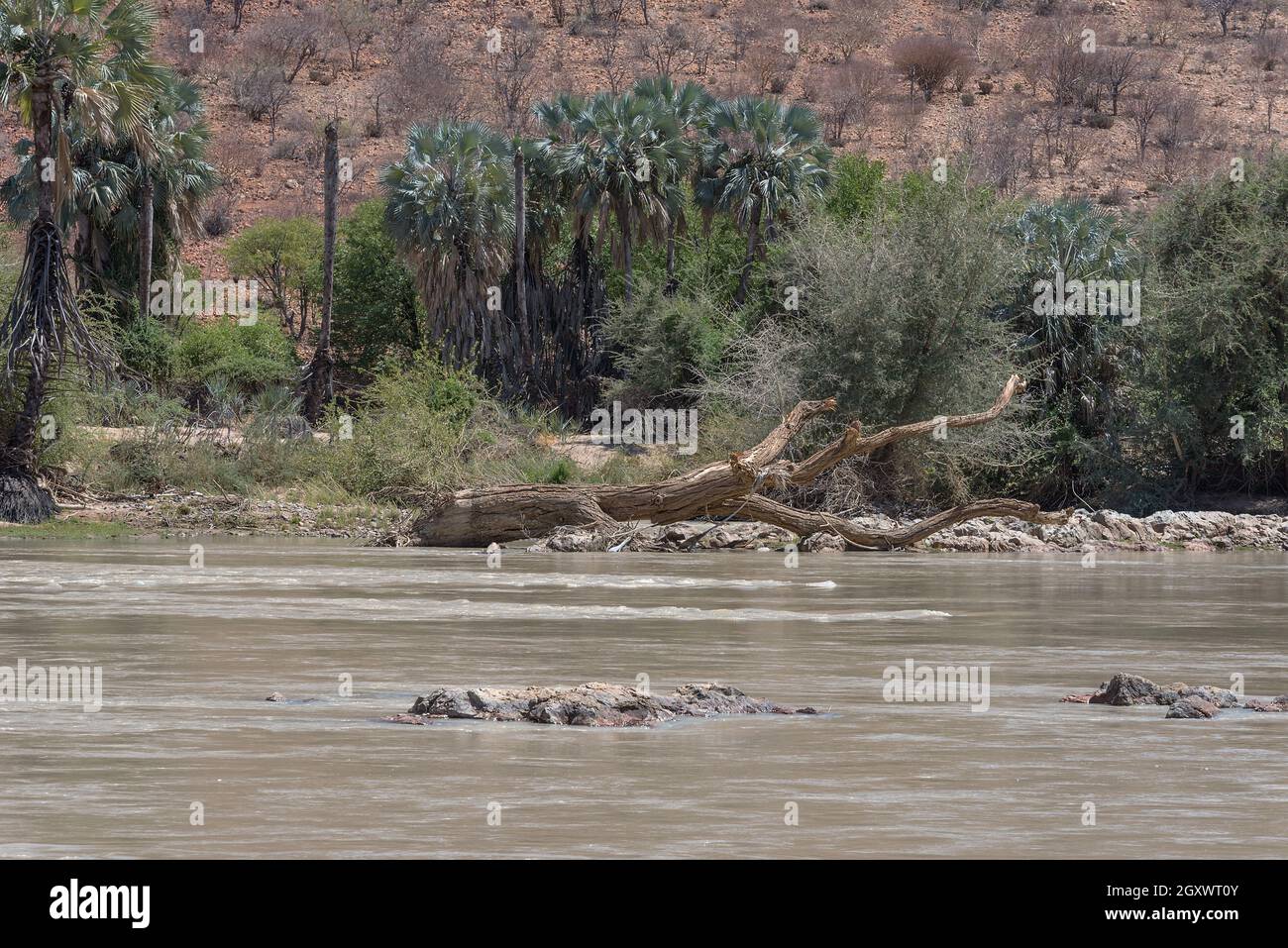 Landscape view of the Kunene River, the border river between Namibia ...