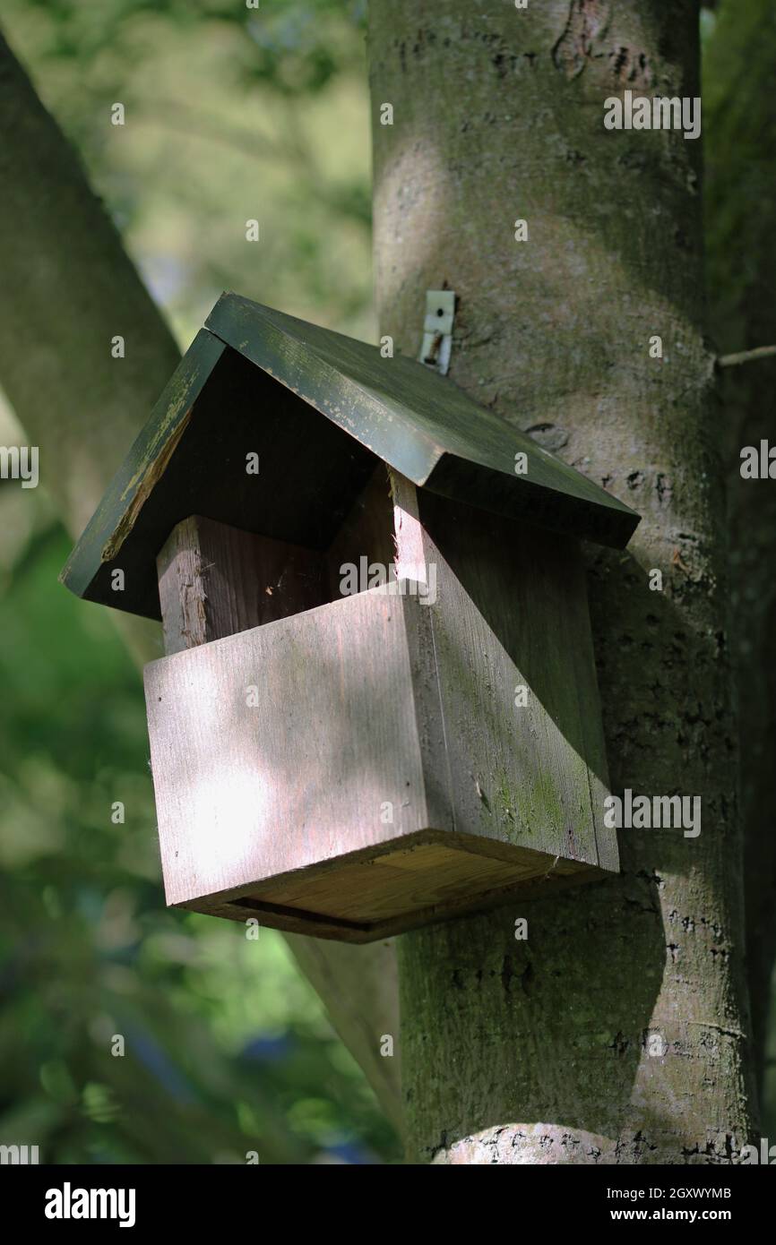 Open fronted bird box hi-res stock photography and images - Alamy