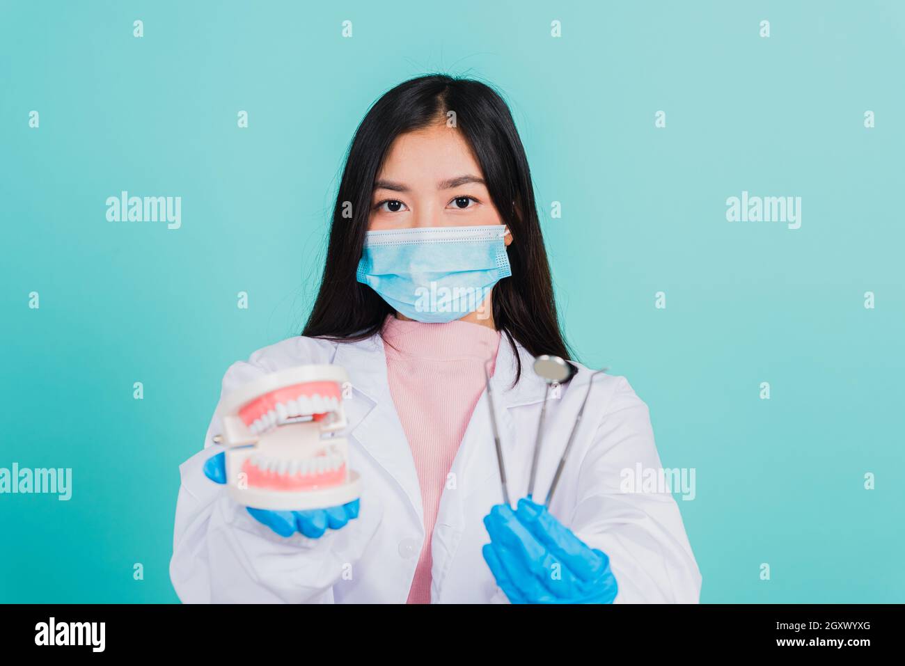 Asian beautiful woman dentist holding professional tool and model teeth ...