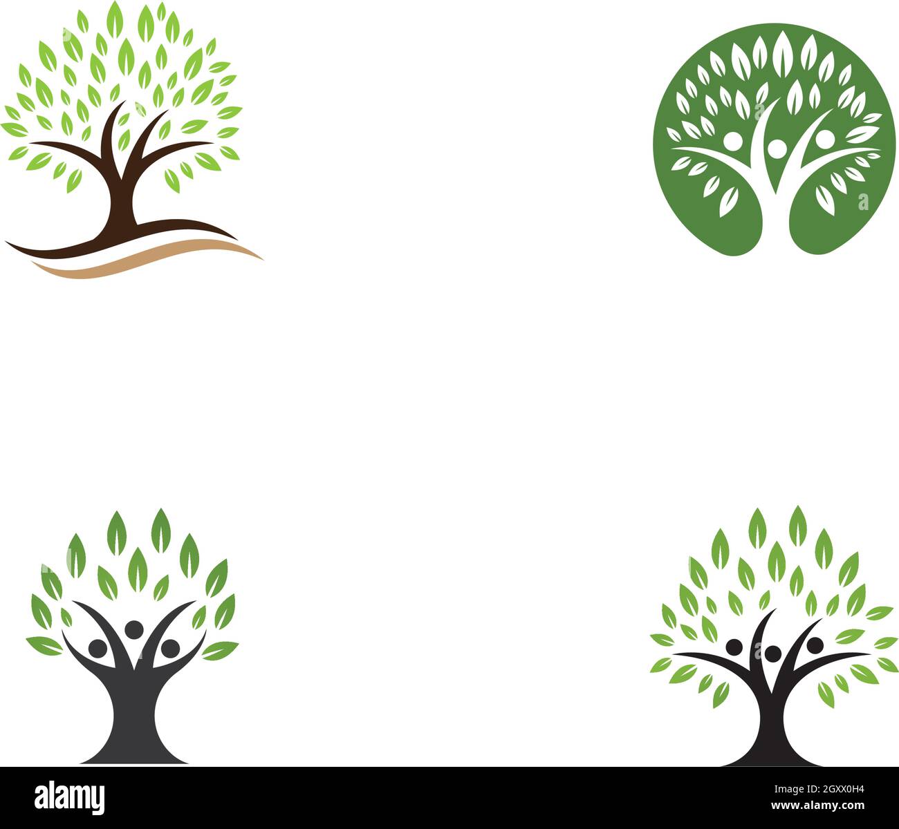 family tree logo template vector illustration Stock Vector Image & Art ...