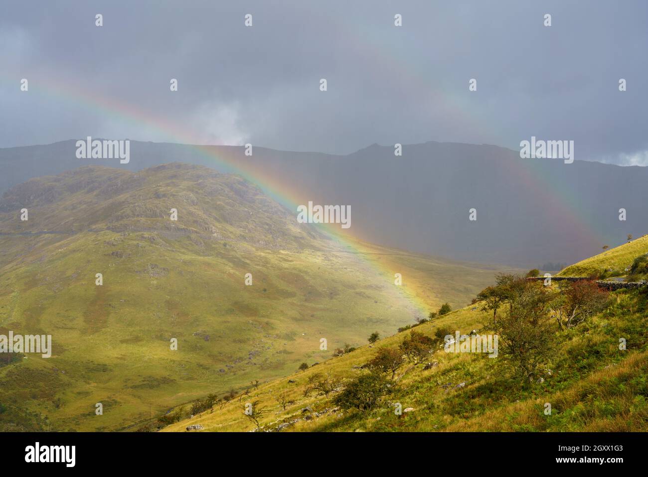 Full rainbow over forest hi-res stock photography and images - Alamy