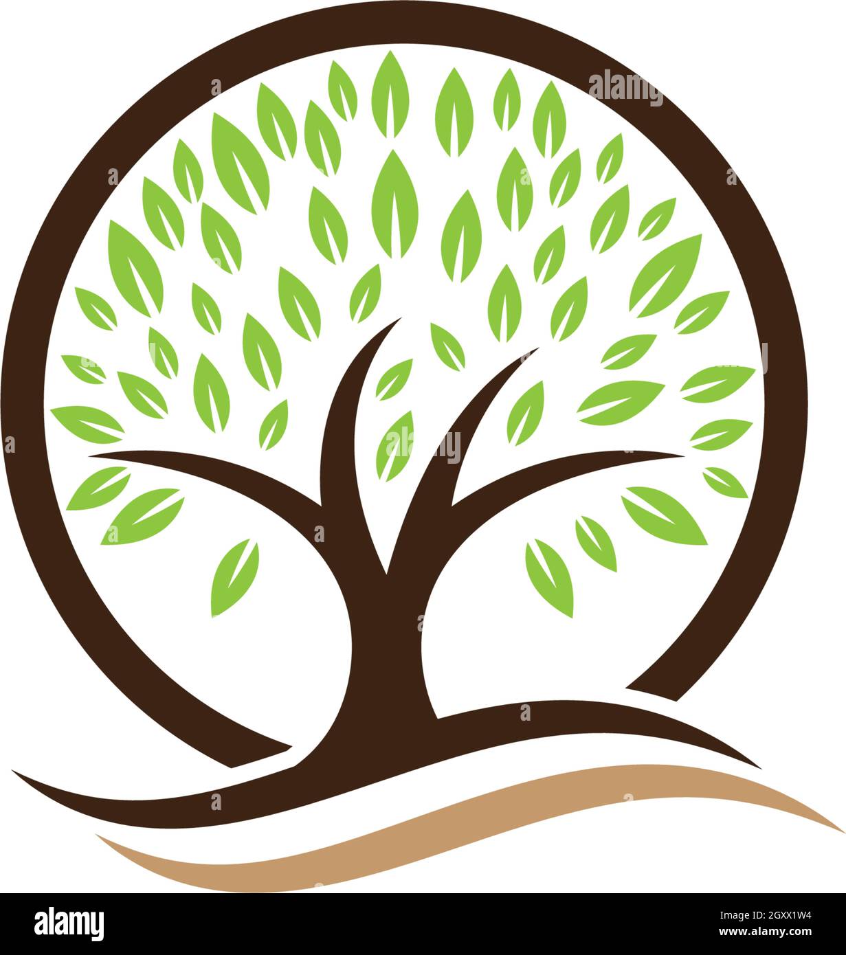 Tree root icon template Cut Out Stock Images & Pictures - Alamy