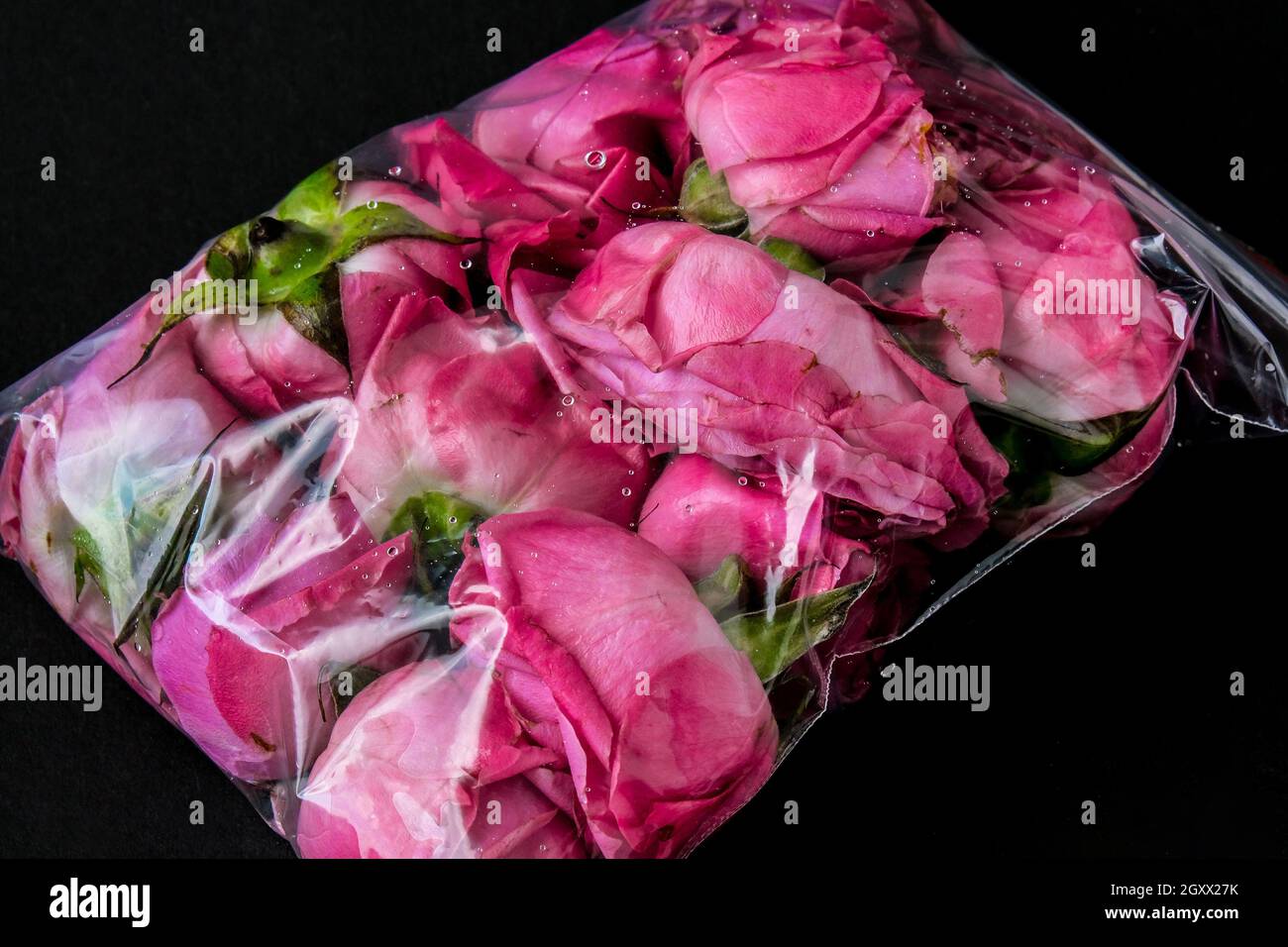 Environmental pollution concept. Flower in a plastic bag. Danger ...