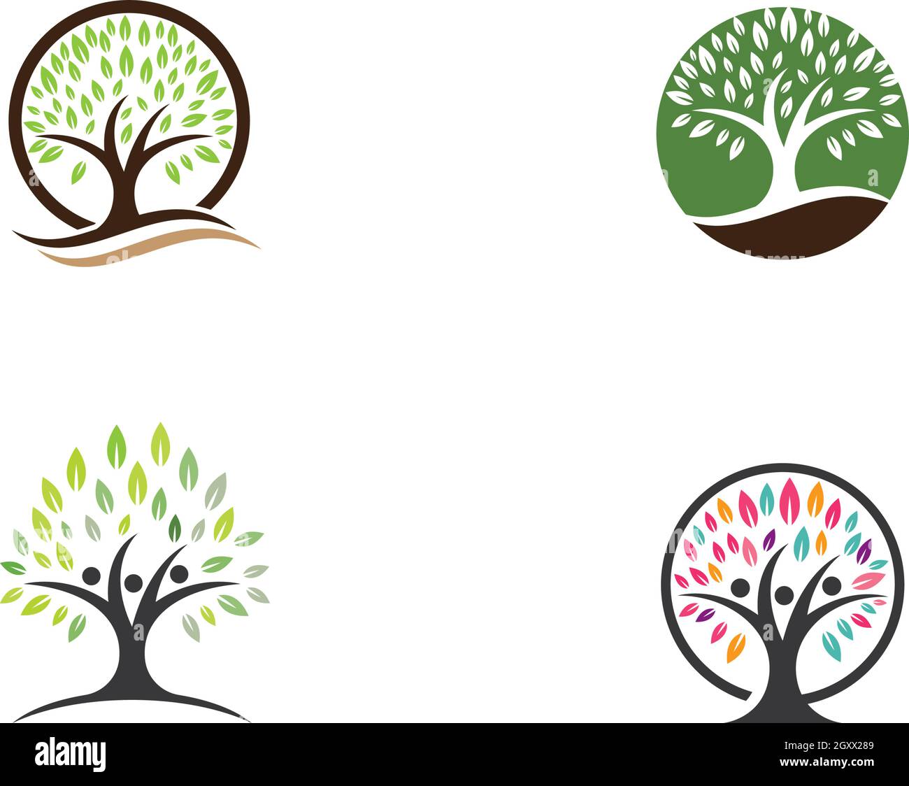 family tree logo template vector illustration Stock Vector Image & Art ...