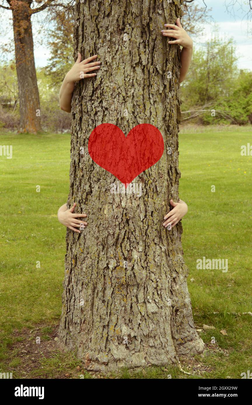 A conceptual image of several peoples arms hugging a large tree with a ...