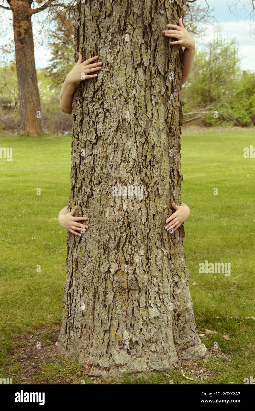 A conceptual image of several peoples arms hugging a large tree with a ...