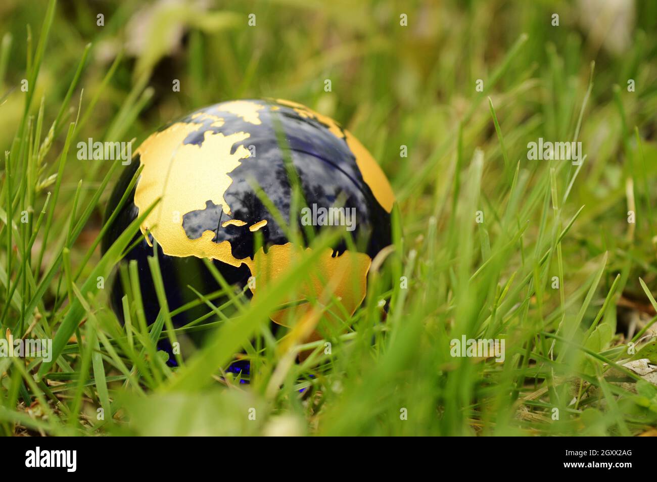 An environmentalist concept to think green globally with an Earth ...