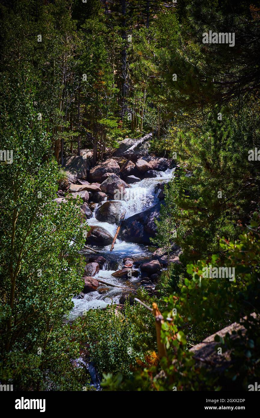 View through trees of rapids river over rocks Stock Photo - Alamy