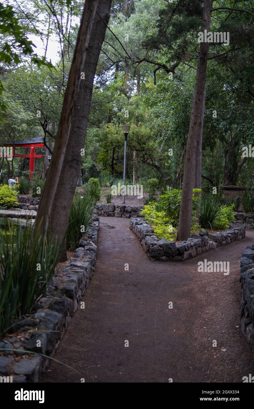 Dirt paths in park with traditional Japanese gate and trees as ...
