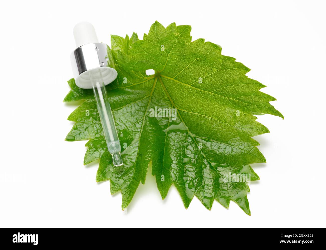 glass pipette with liquid lies on a green leaf, white background ...