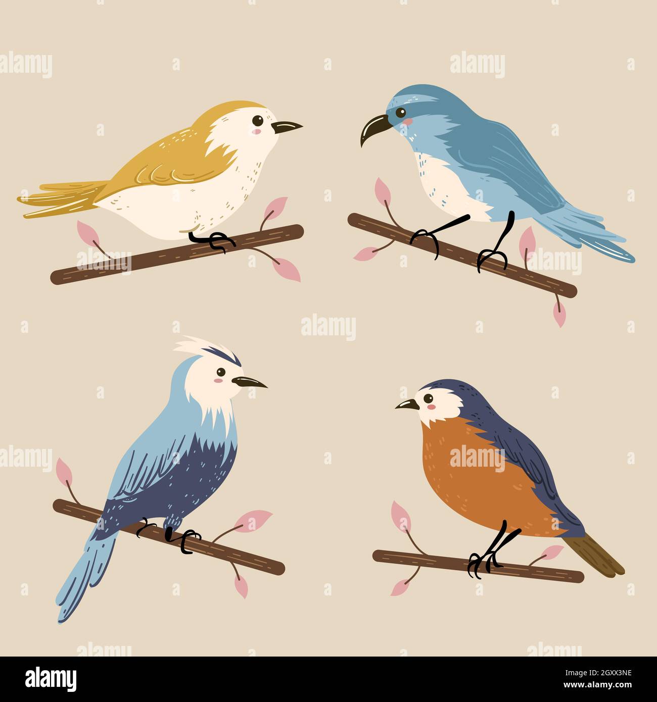 Colorful birds set illustration Vector illustration Stock Vector Image ...
