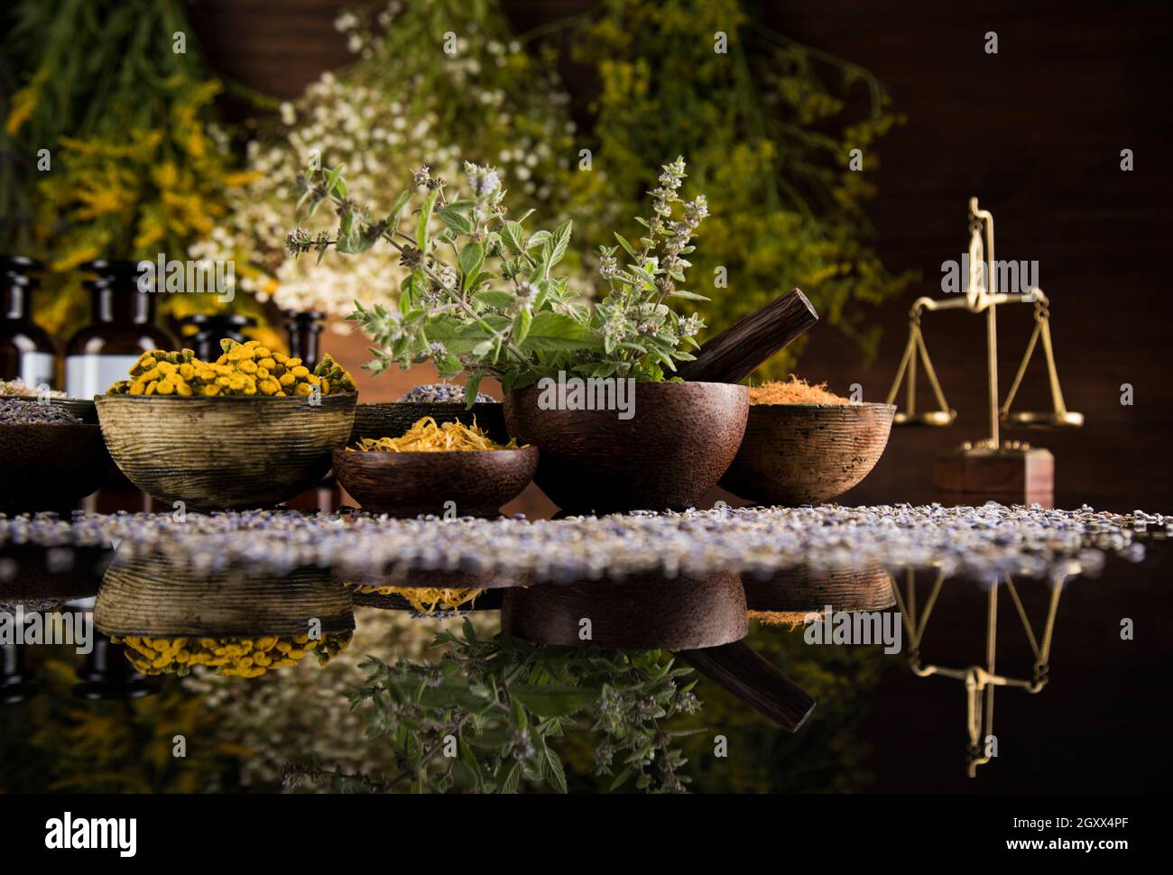 Black mirror background, Natural remedy, healing herbs Stock Photo - Alamy