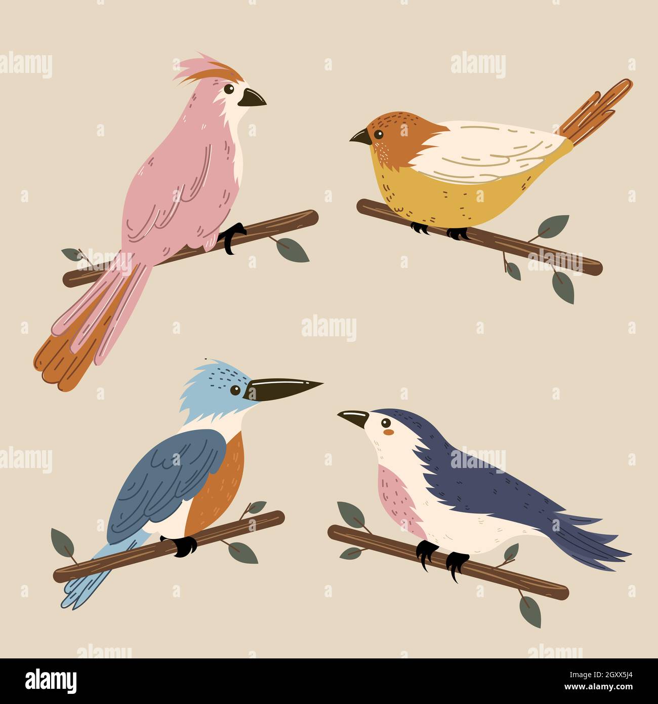 Colorful birds set illustration Vector illustration Stock Vector Image ...