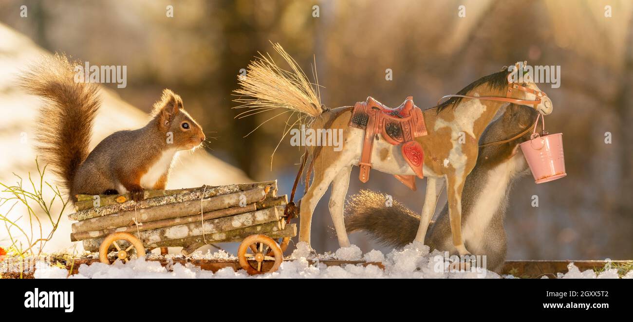 Wagon load hi-res stock photography and images - Alamy