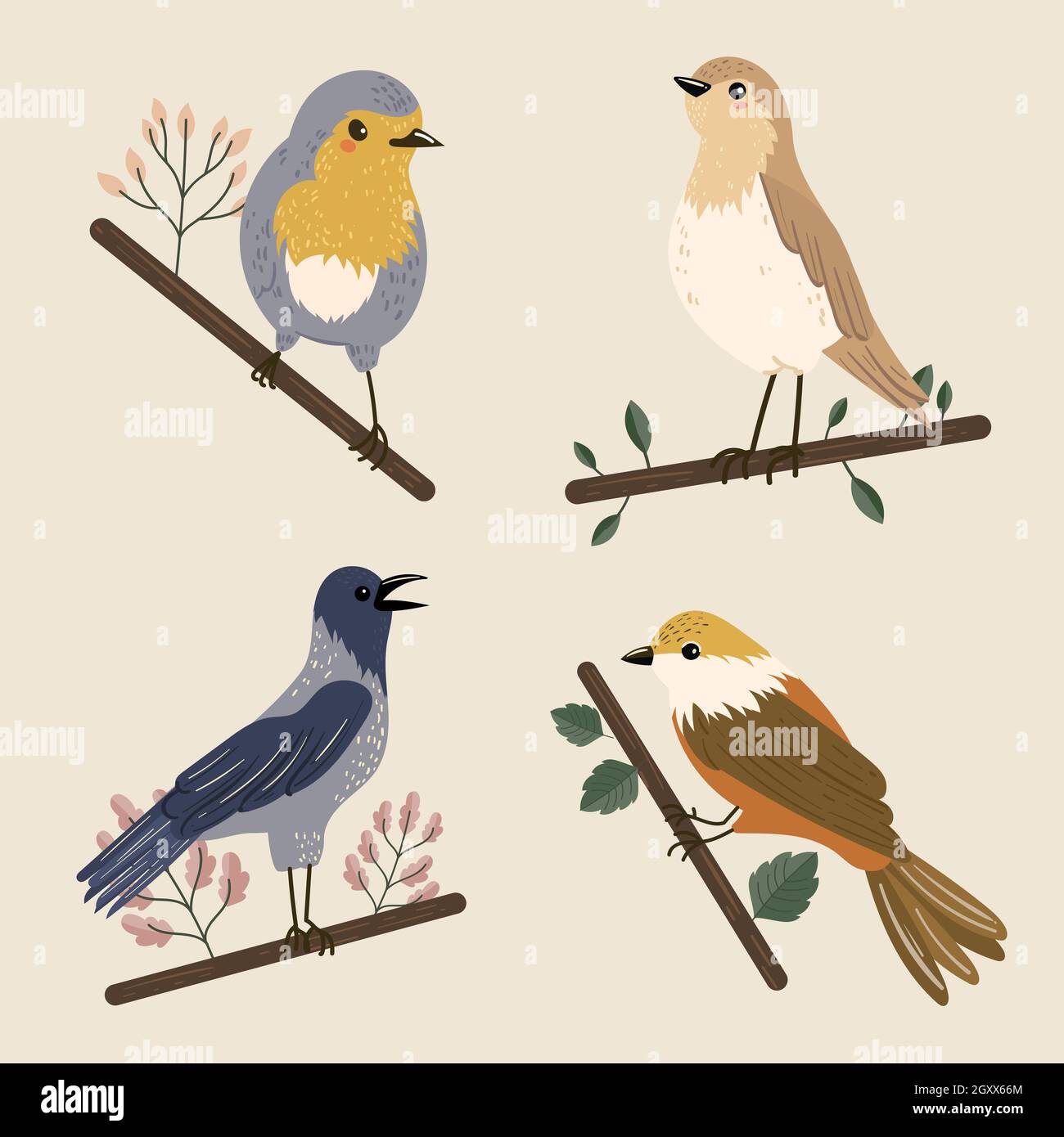Colorful birds set illustration Vector illustration Stock Vector Image ...
