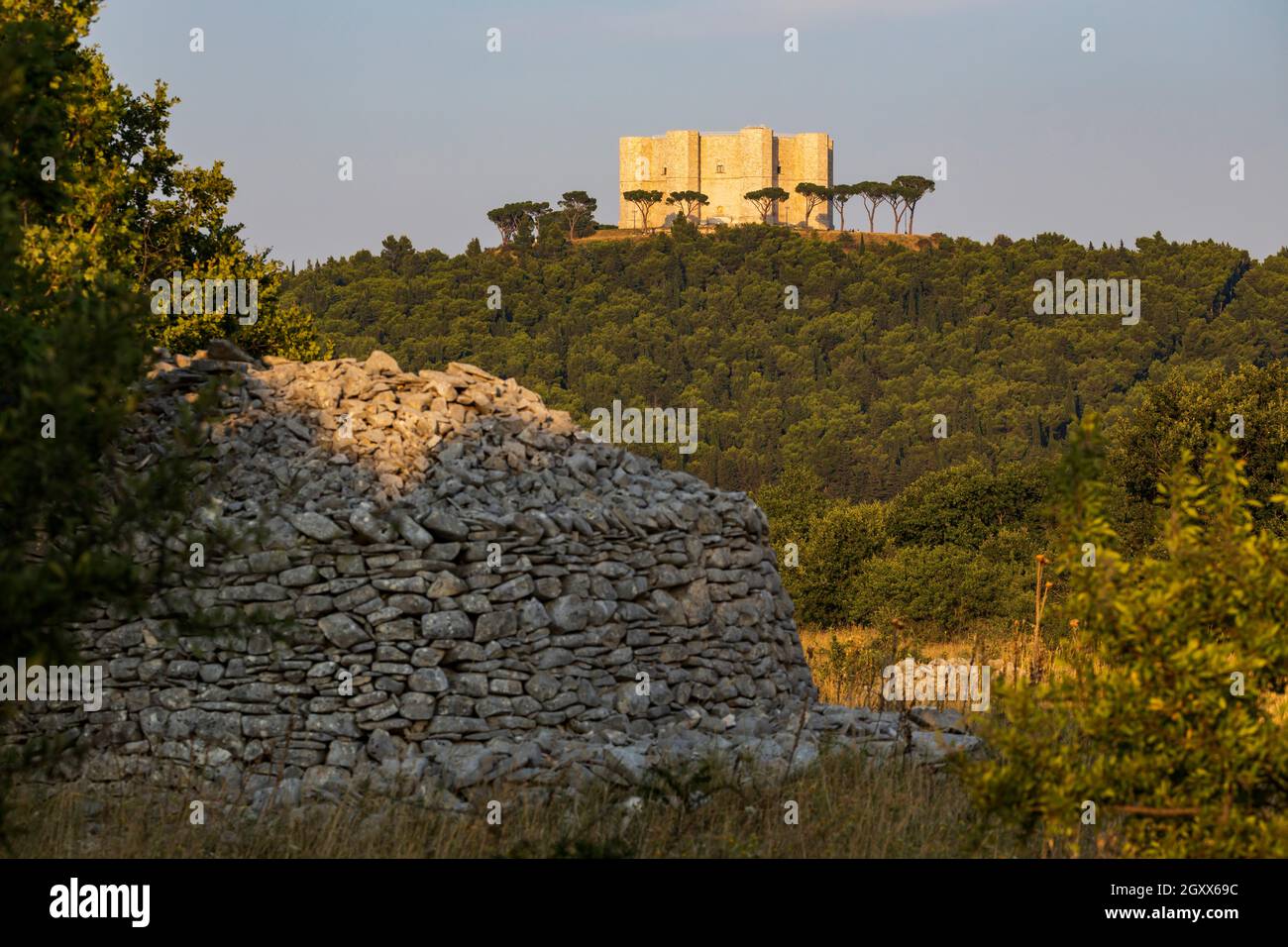 Holy roman emperor frederick hi-res stock photography and images - Alamy