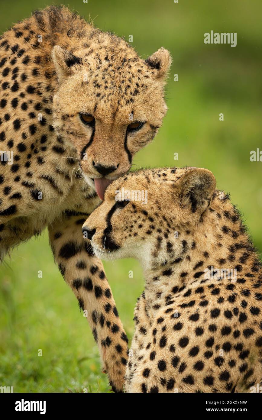 Washing up stand hi-res stock photography and images - Alamy