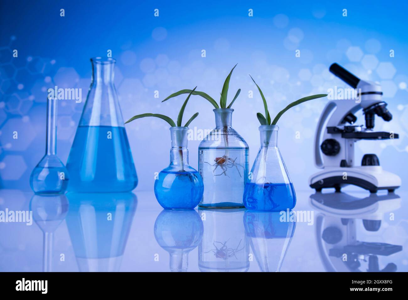 Microscope, Biotechnology concept, Plant laboratory experimental Stock ...
