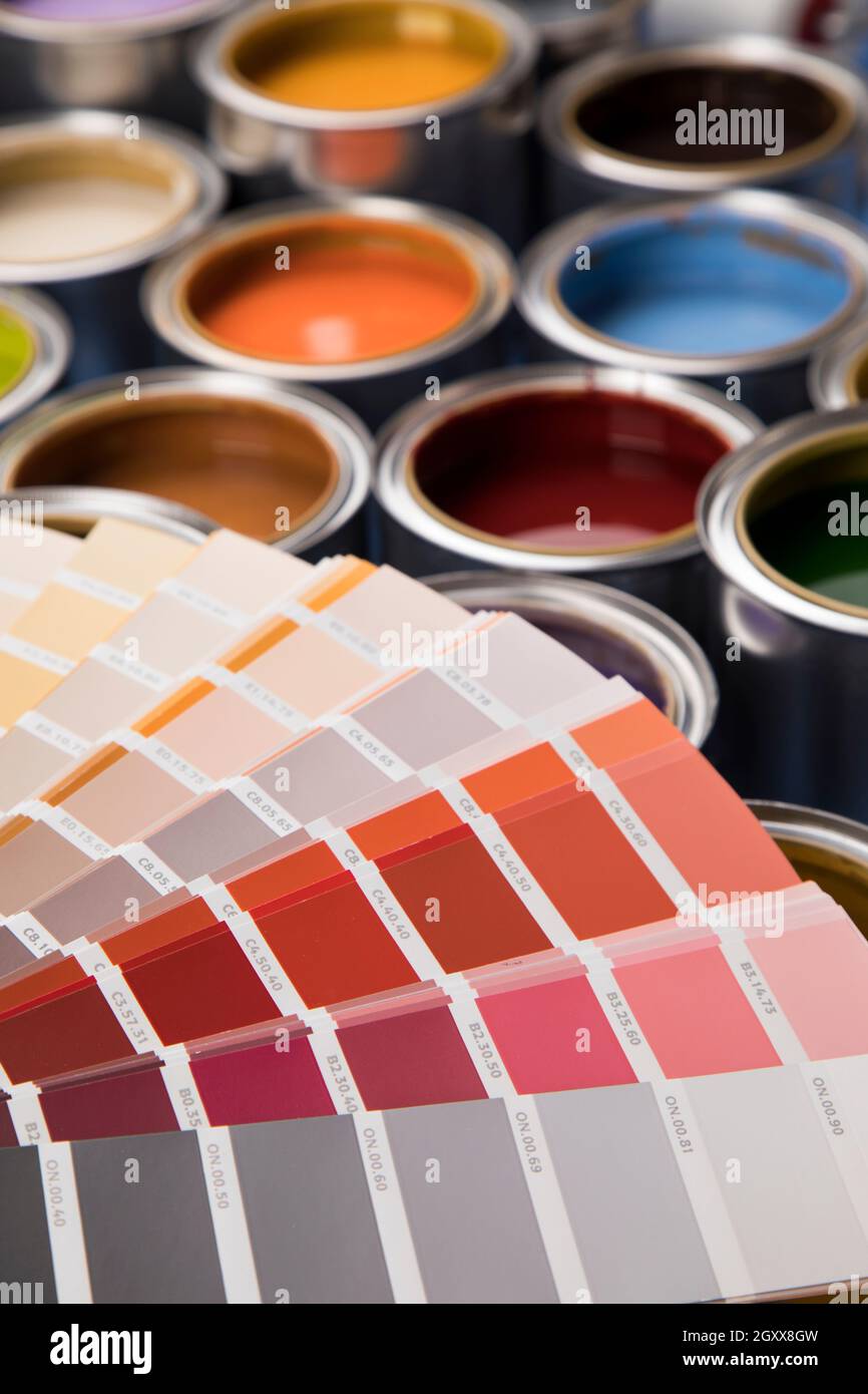 Palette of paint samples and paintbrush Stock Photo - Alamy