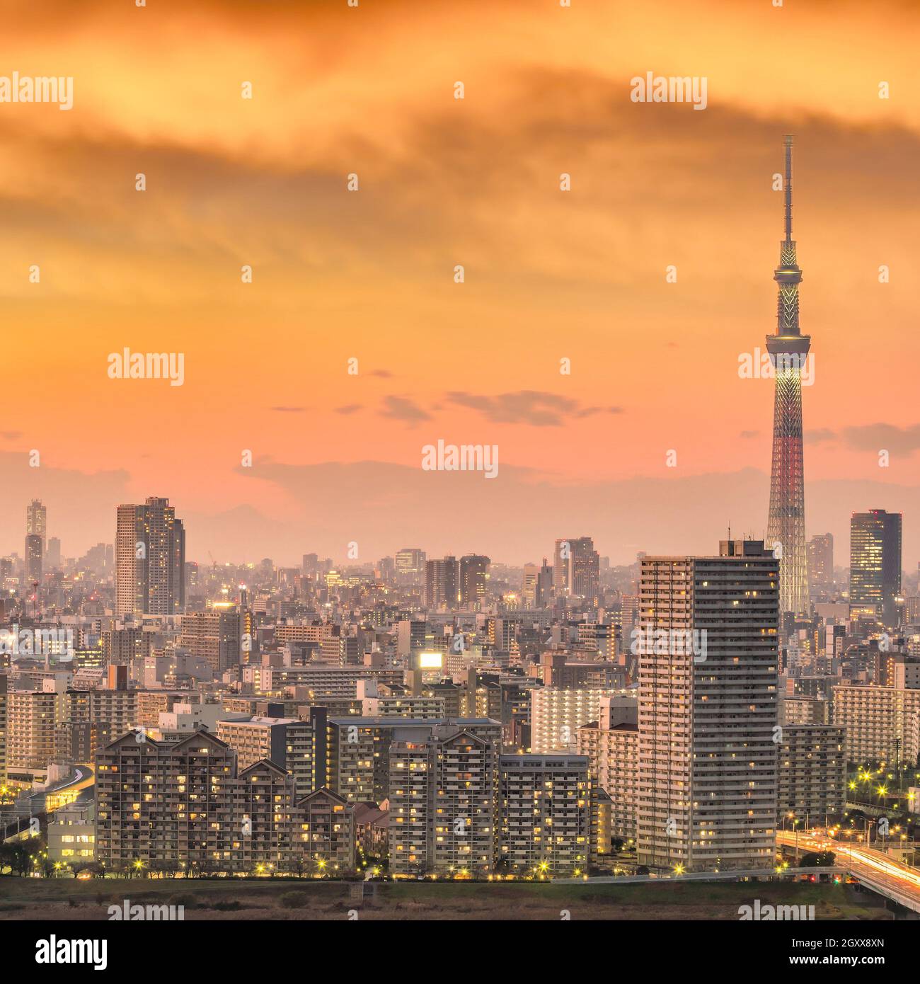 Tokyo city skyline at sunset in Japan Stock Photo - Alamy