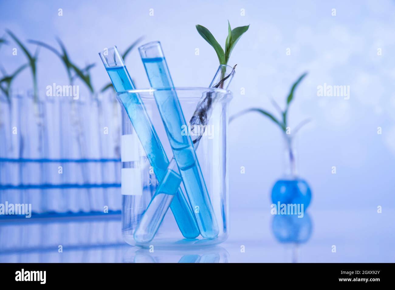 Laboratory beakers, microscope, blue background Stock Photo - Alamy
