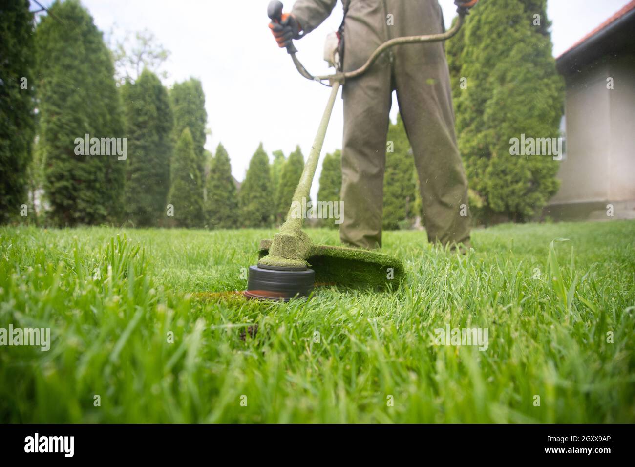 Mowing the grass with a lawn mower. Garden work concept background ...