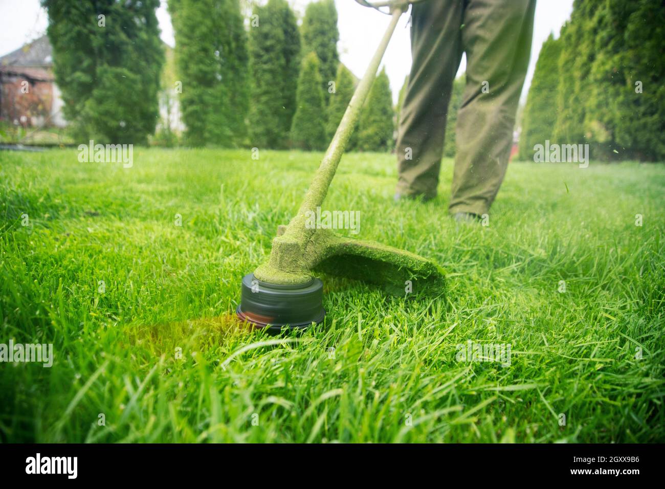 Mowing the grass with a lawn mower. Garden work concept background ...
