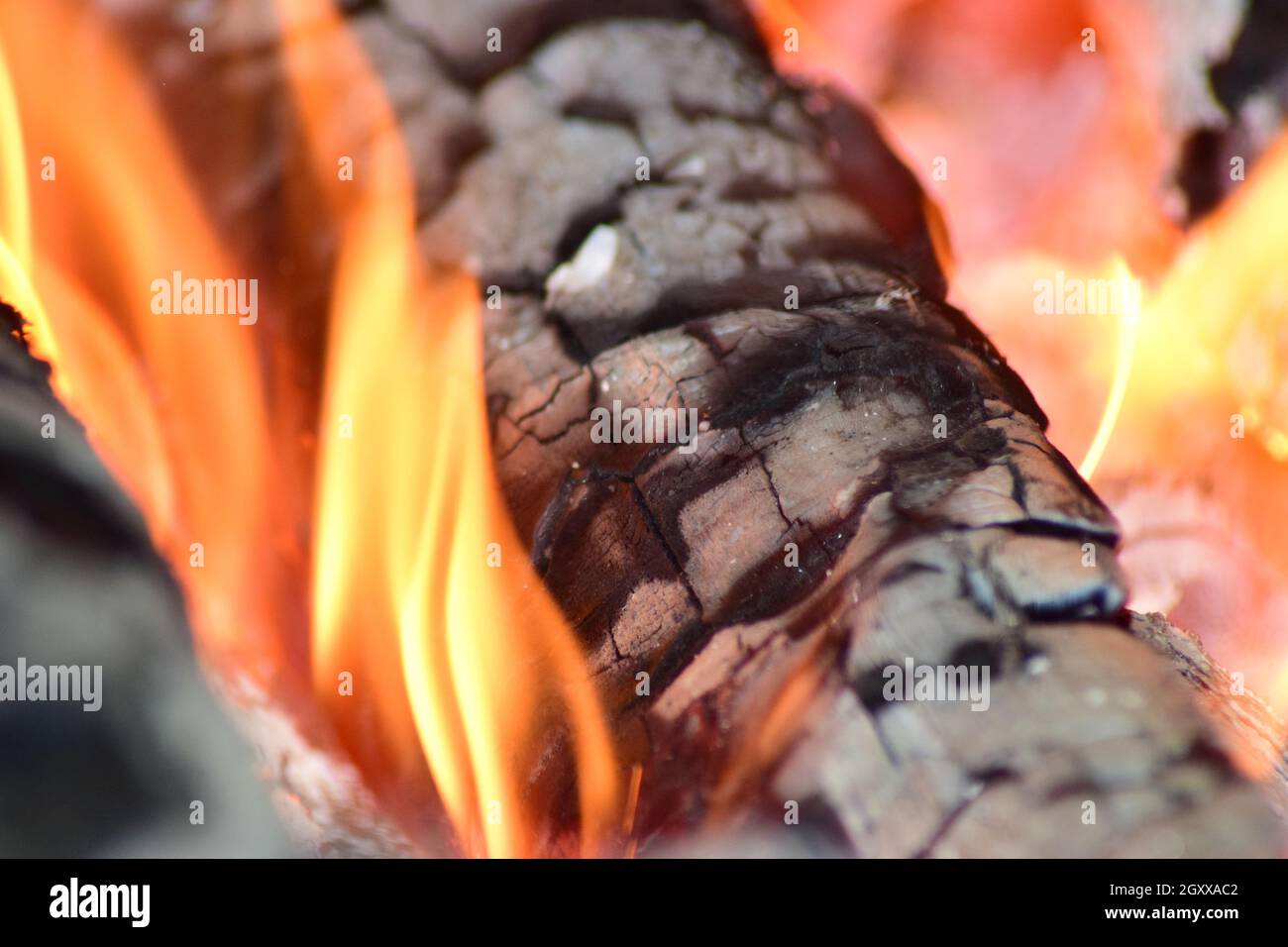 Hot coals in the stove. Red burned by heating the particles tree Stock ...