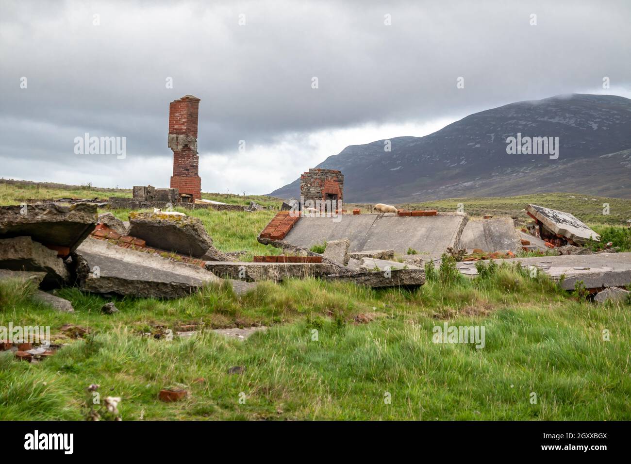 The ruins of Lenan Head fort at the north coast of County Donegal ...