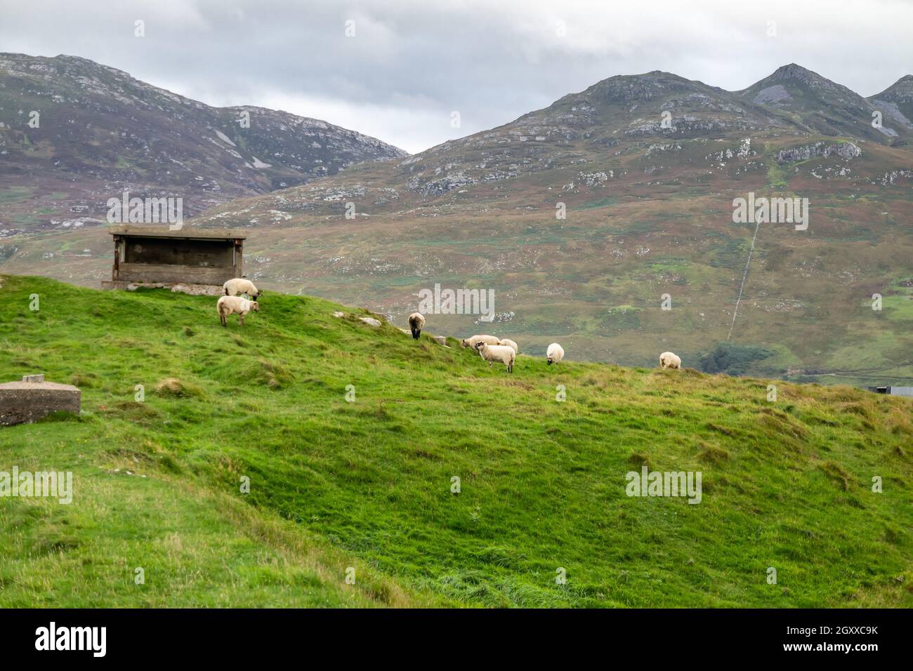The ruins of Lenan Head fort at the north coast of County Donegal ...