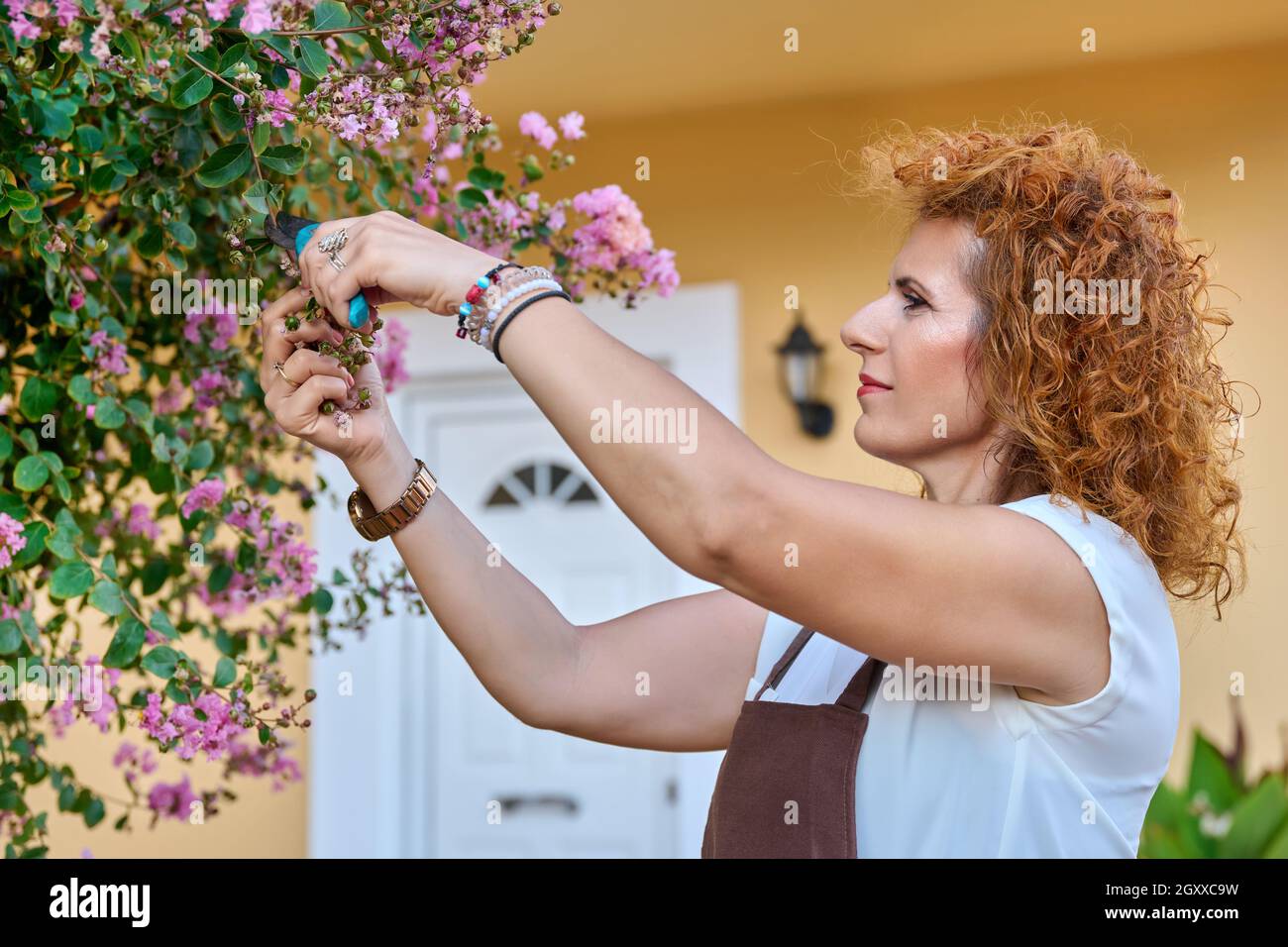 Curly bush cutting hi-res stock photography and images - Alamy