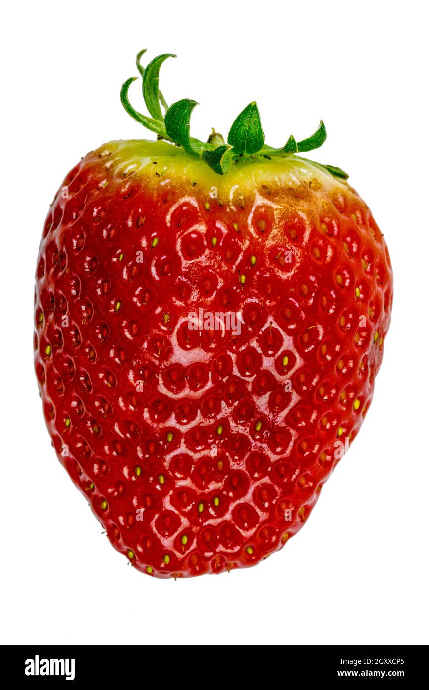 Single big red strawberry on white Stock Photo - Alamy
