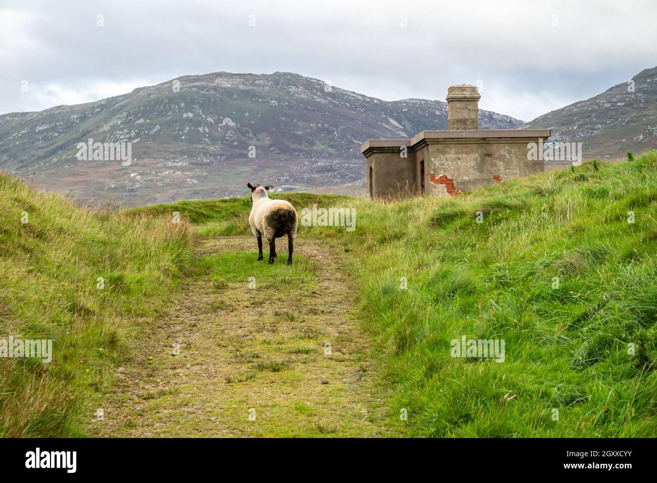 The ruins of Lenan Head fort at the north coast of County Donegal ...