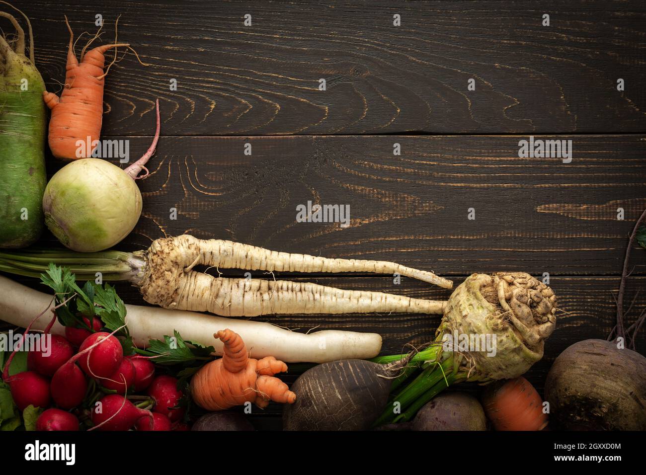 Root vegetables on a wooden background, different types of radish with ...