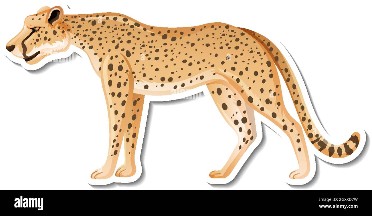 A sticker template of leopard cartoon character illustration Stock ...