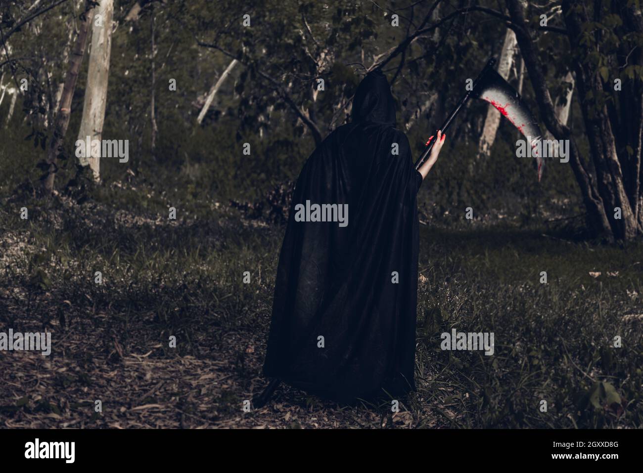 Back woman horror ghost holding reaper in forest, halloween concept ...