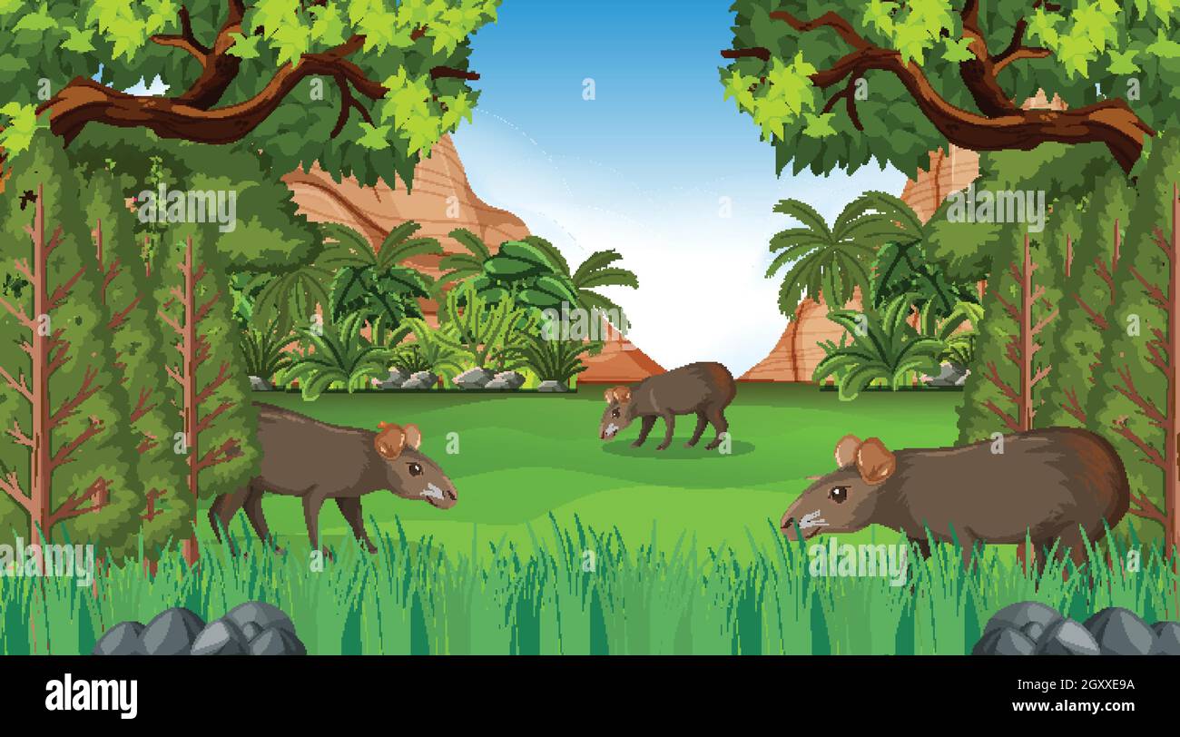 Capybara family in forest scene with many trees illustration Stock ...