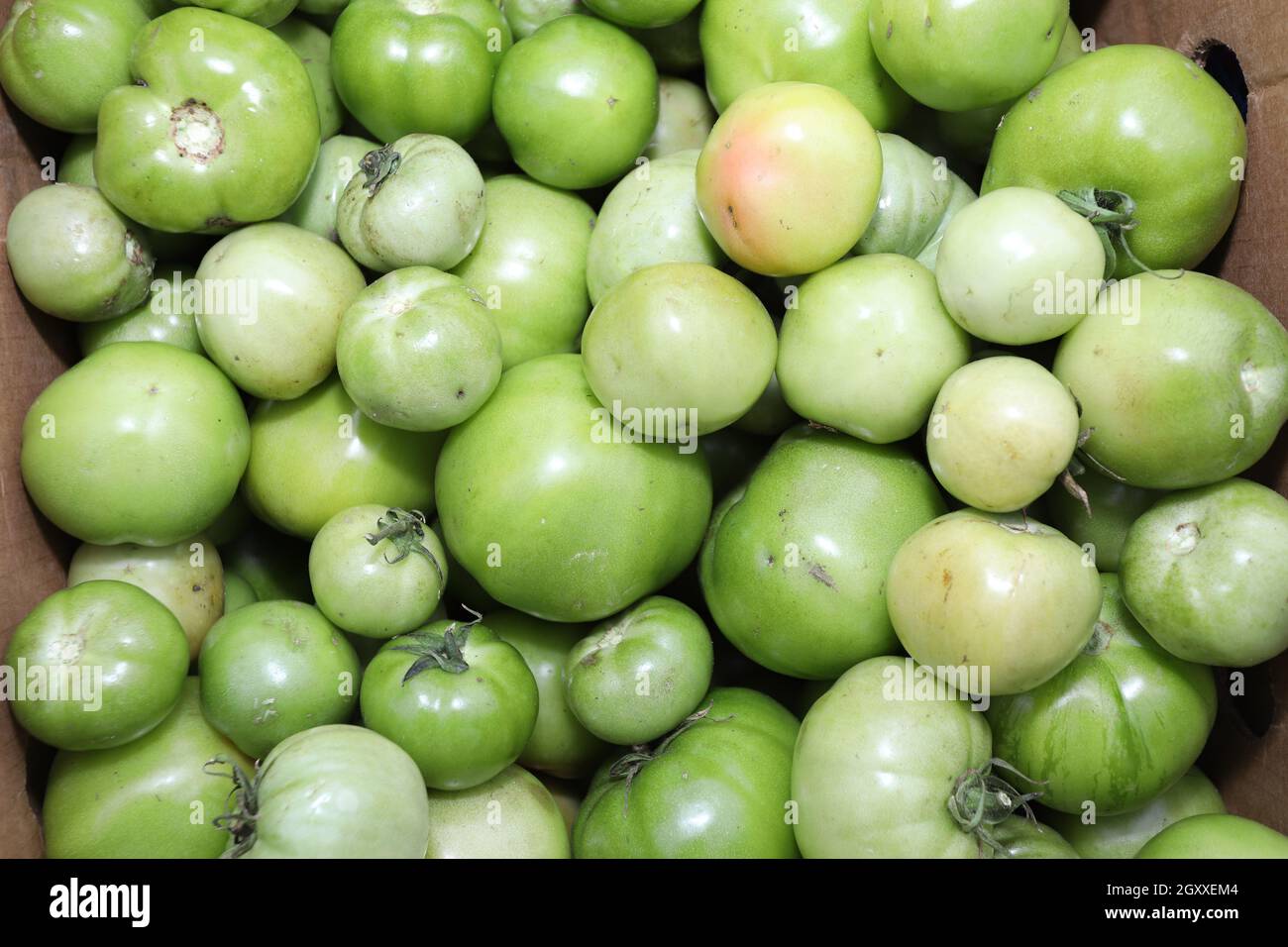 Raw pickles hi-res stock photography and images - Alamy