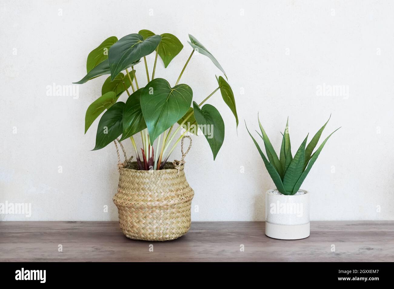 Two pot house hi-res stock photography and images - Alamy