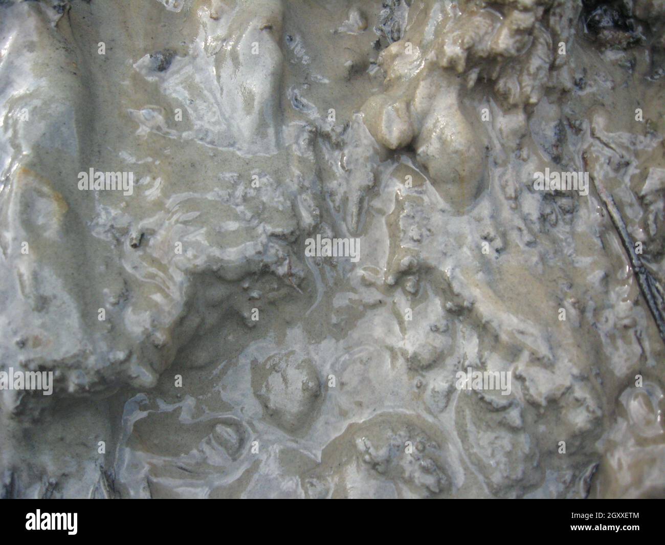 Muddled in rain. Layers of mud. Disaster. Dangerous nature. Mud stream ...