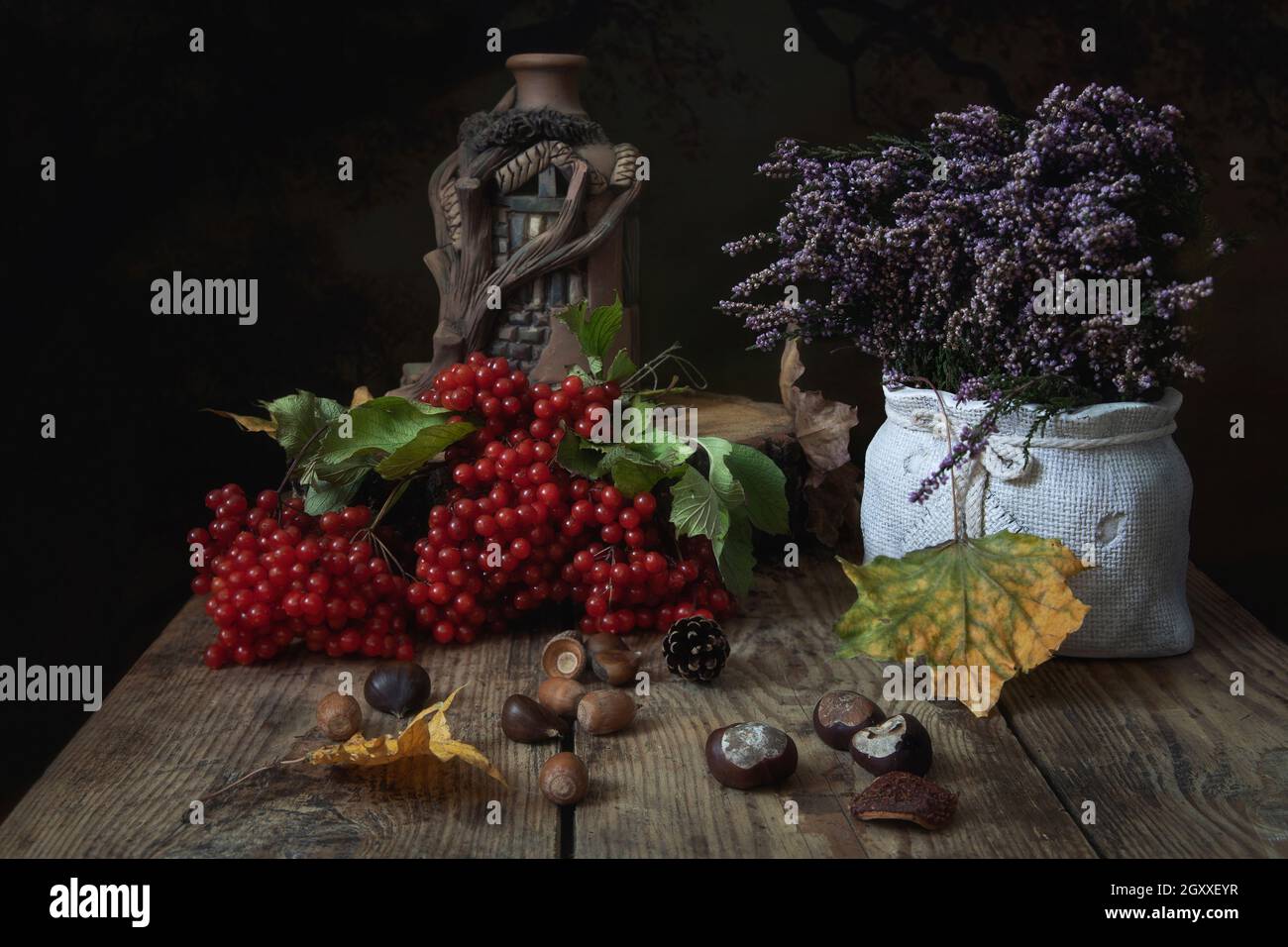 Still life with forest plants Stock Photo - Alamy