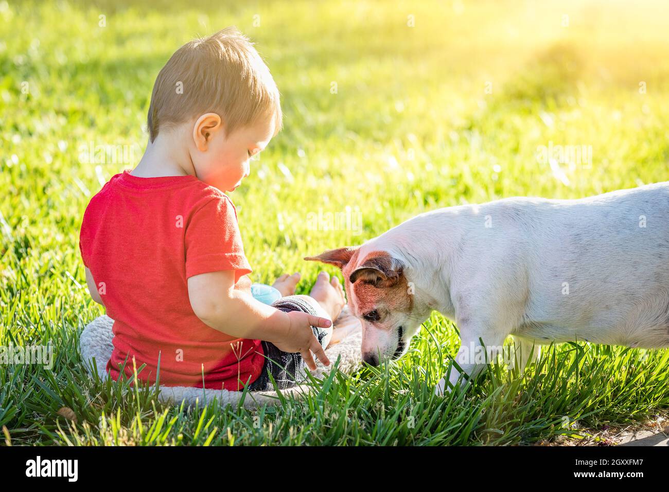 Cute Baby Boy Sitting In Grass Playing With Dog Stock Photo - Alamy