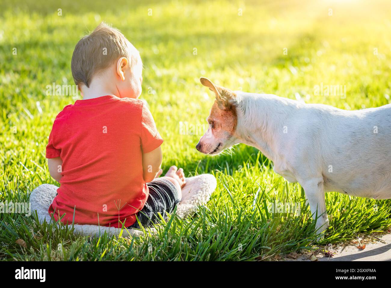 Cute Baby Boy Sitting In Grass Playing With Dog Stock Photo - Alamy
